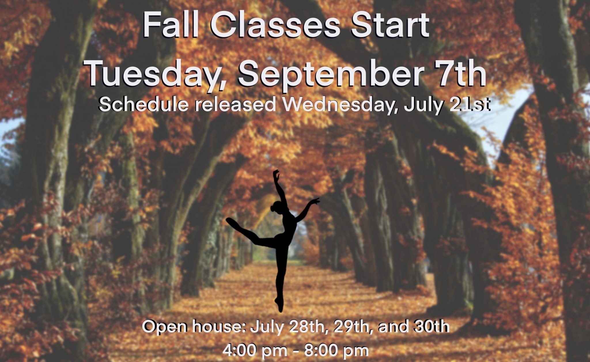 Lawrence Dance Gallery - Lawrence, KS Dance Studio (Age 2 - Adult)